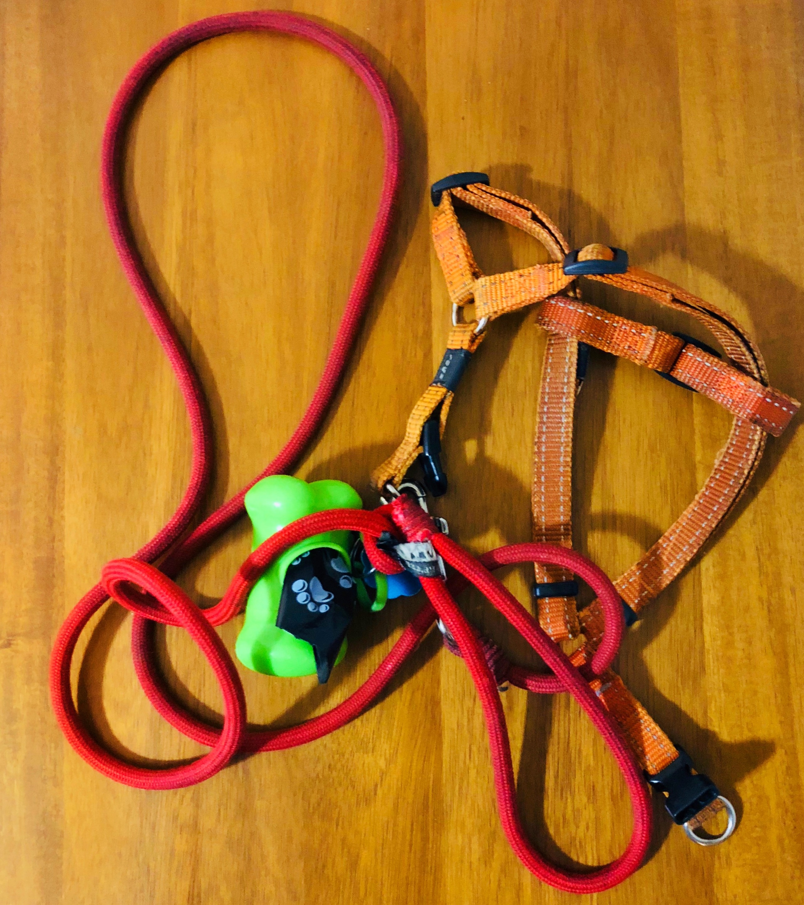 Lucy’s Leash and Bra – Indirect Objects